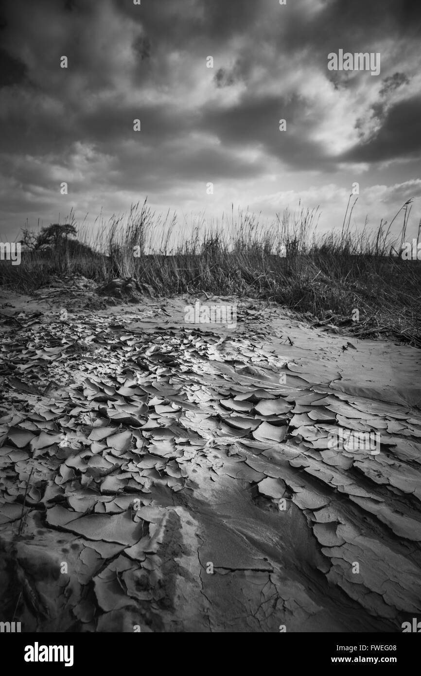 Cracked dry mud hi-res stock photography and images - Alamy