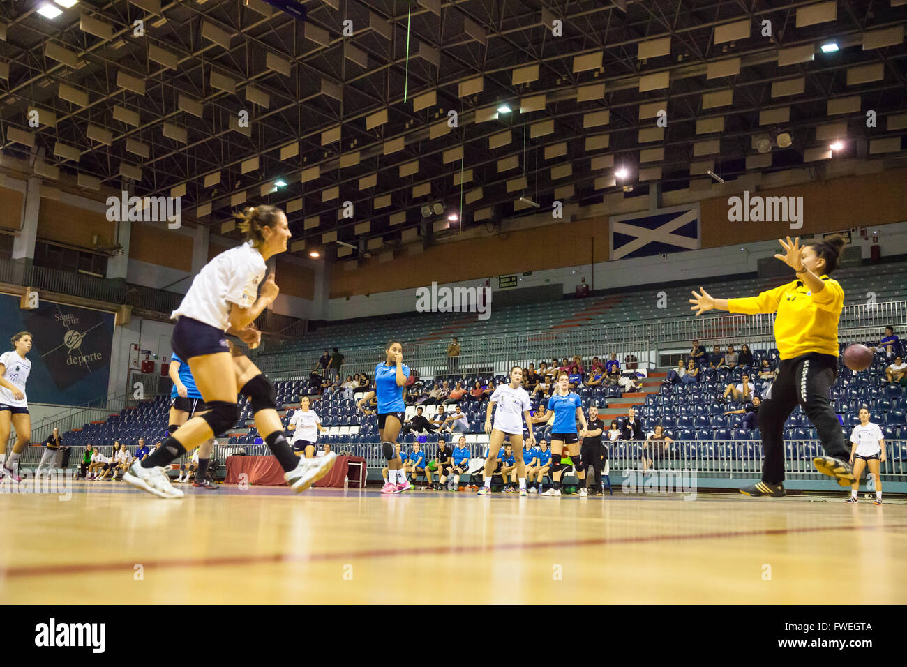 young women handball match held in a sports centre Stock Photo - Alamy