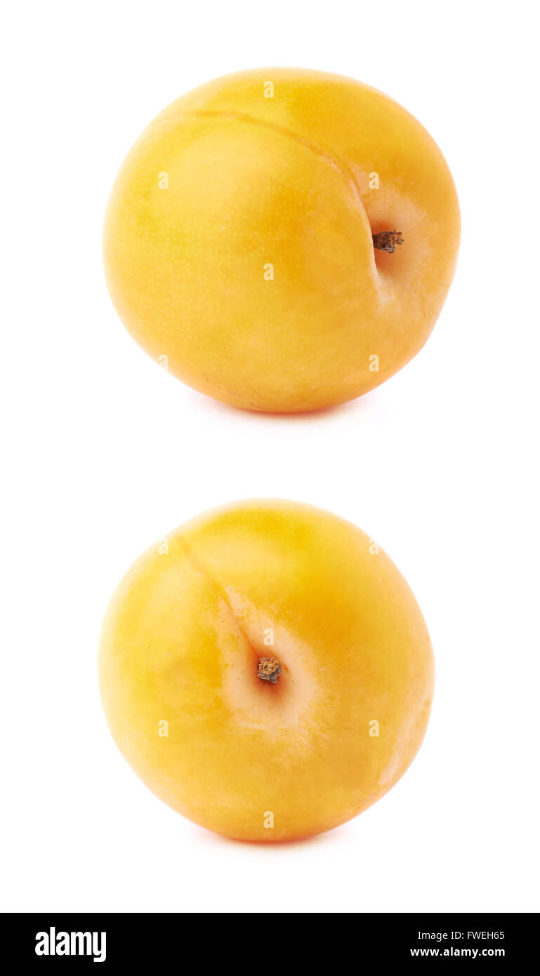 Single yellow mirabelle plum isolated Stock Photo - Alamy