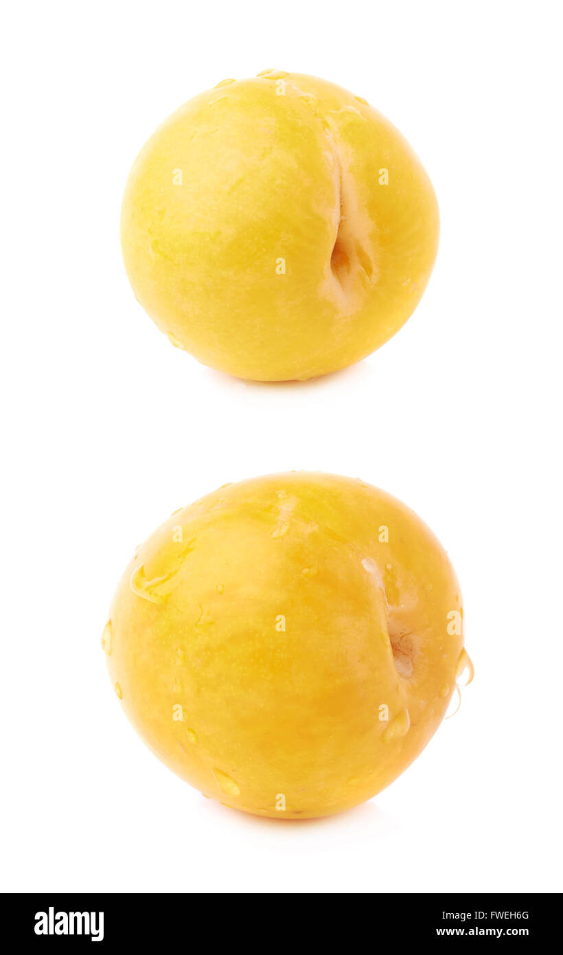Single yellow mirabelle plum isolated Stock Photo - Alamy