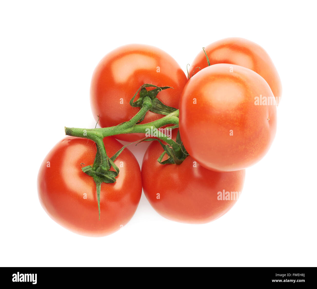 Multiple red tomatoes on a single stem Stock Photo - Alamy