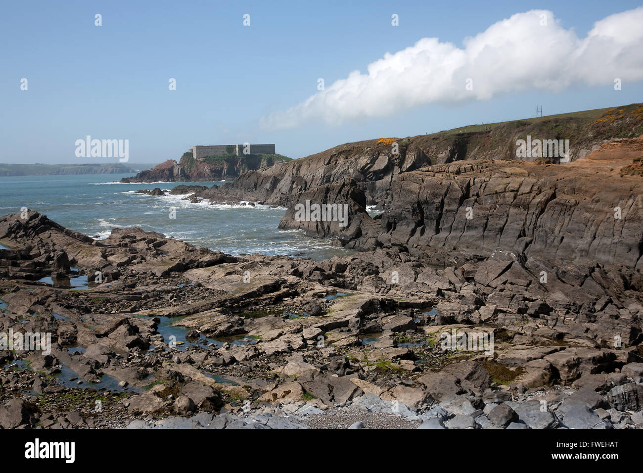 Thorn Island, West Angle Bay, Pembrokeshire, Wales Stock Photo - Alamy