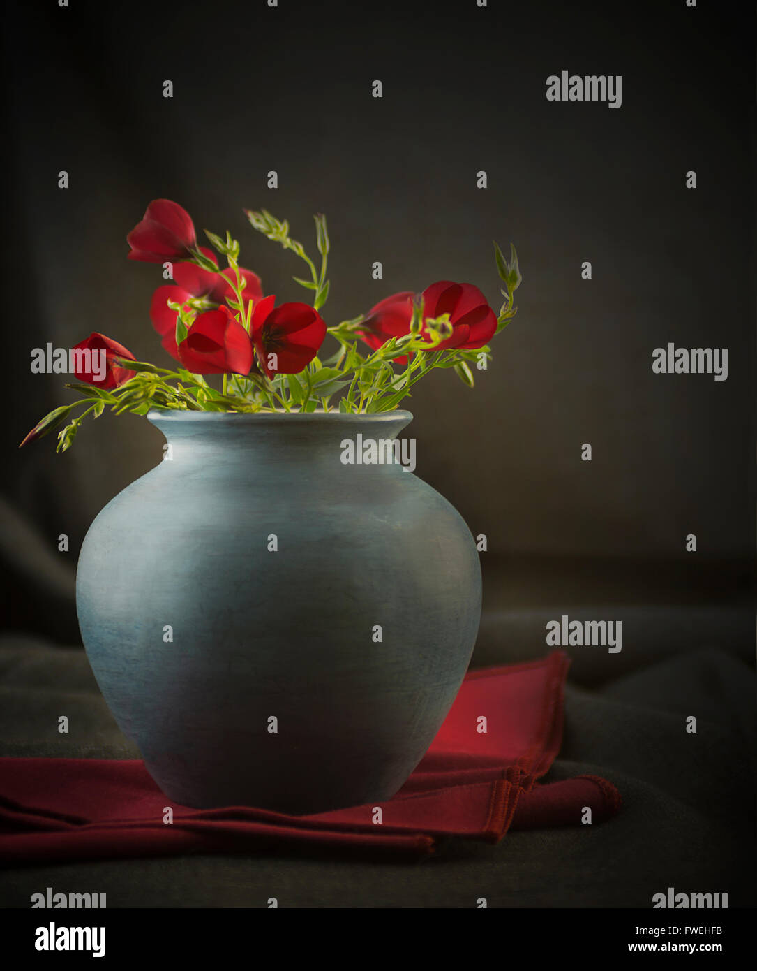 Still life of red wild flowers in a Roman style blue stone textured ...