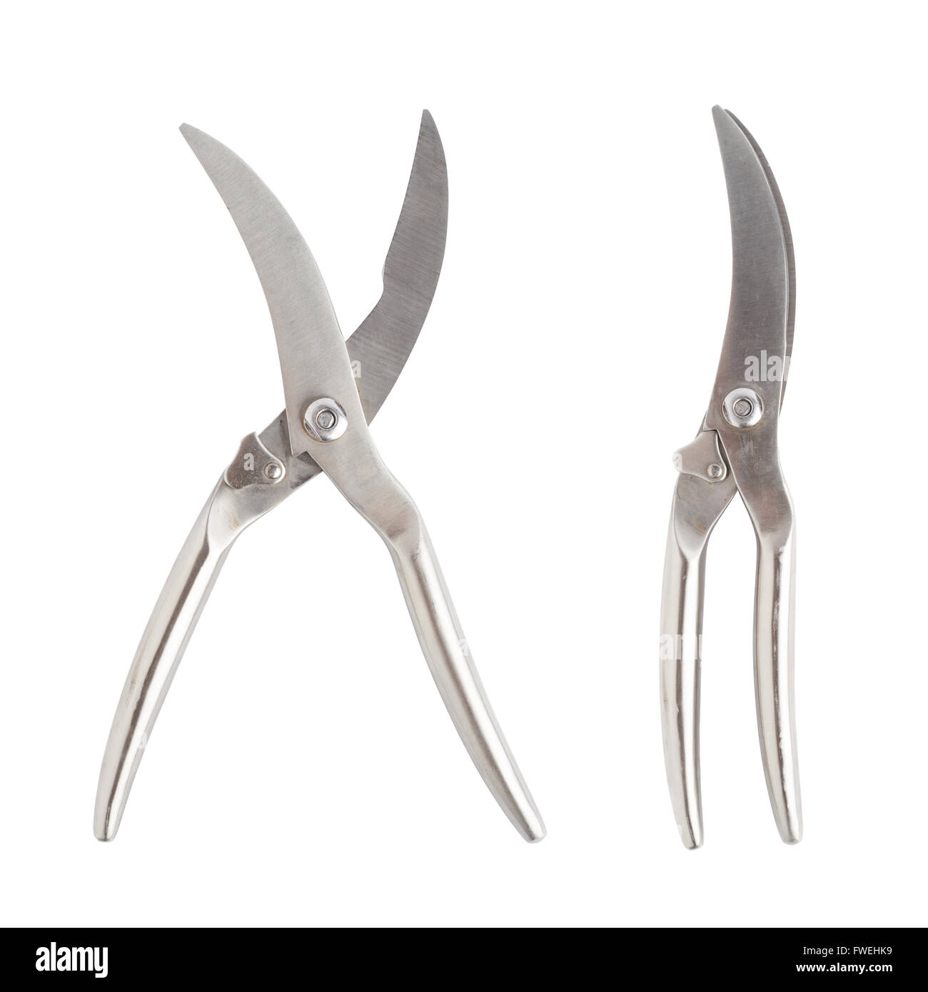 Secateurs fish metal scissors isolated Stock Photo - Alamy