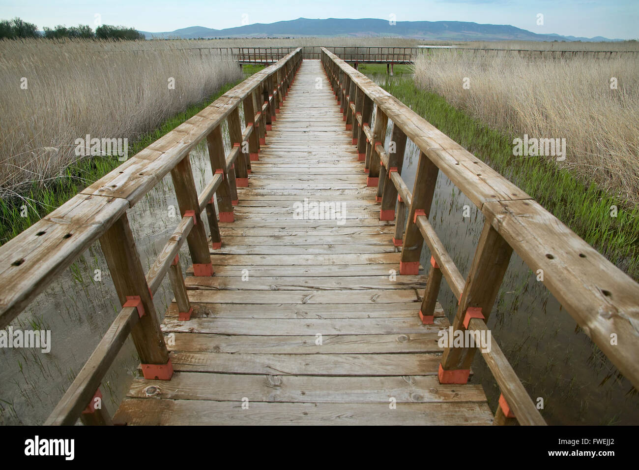 Footbridge walkway in a wetland landscape. Horizontal format Stock ...