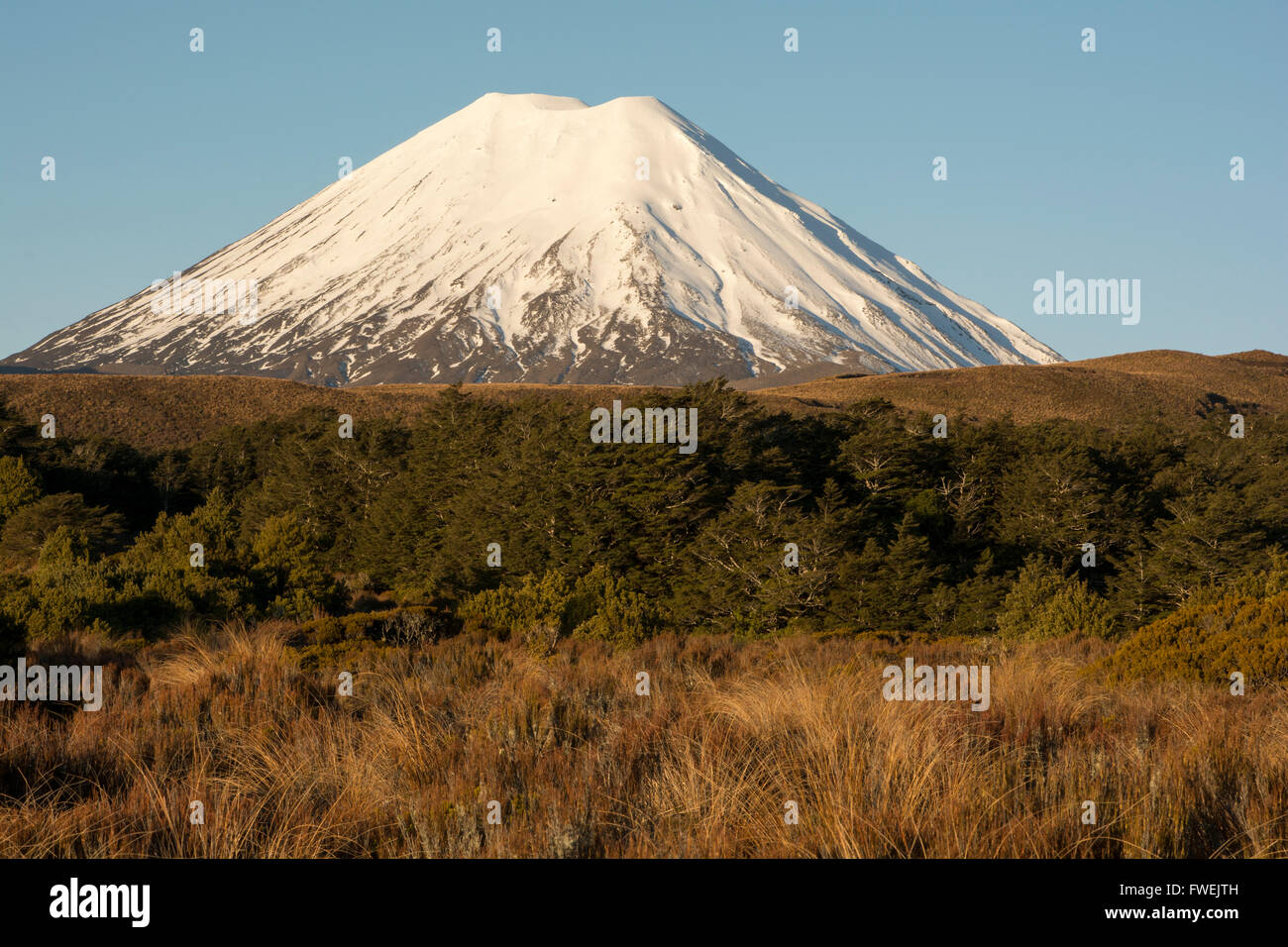 Impressive stratovolcano Ngauruhoe is the youngest of the active ...
