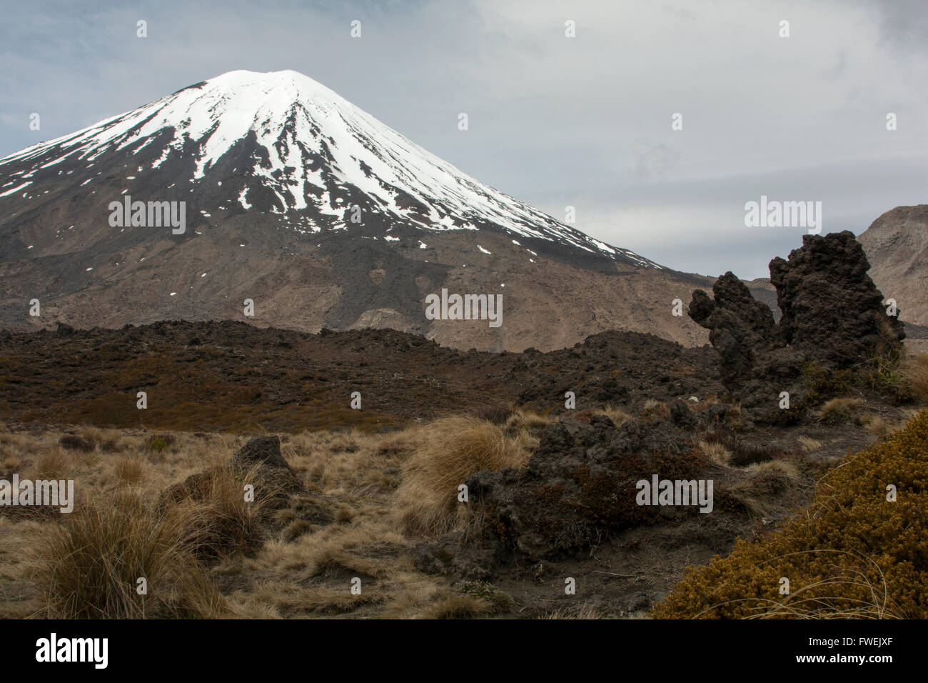 Impressive stratovolcano Ngauruhoe is the youngest of the active ...