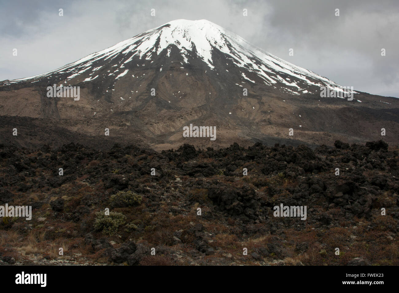 Impressive stratovolcano Ngauruhoe is the youngest of the active ...