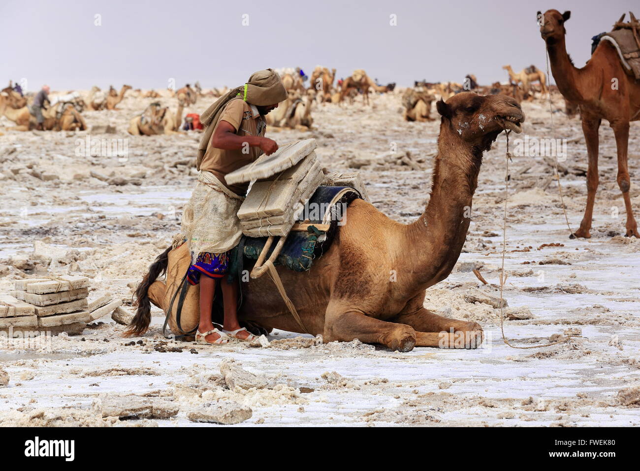 Size of ethiopia hi-res stock photography and images - Alamy