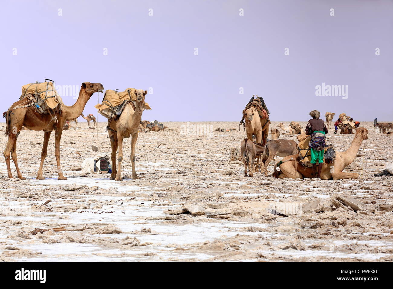Salt slabs hi-res stock photography and images - Alamy