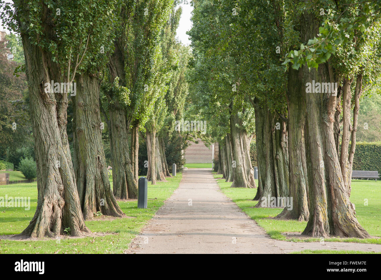 Museum Park in Rotterdam in Holland, Netherlands Stock Photo - Alamy