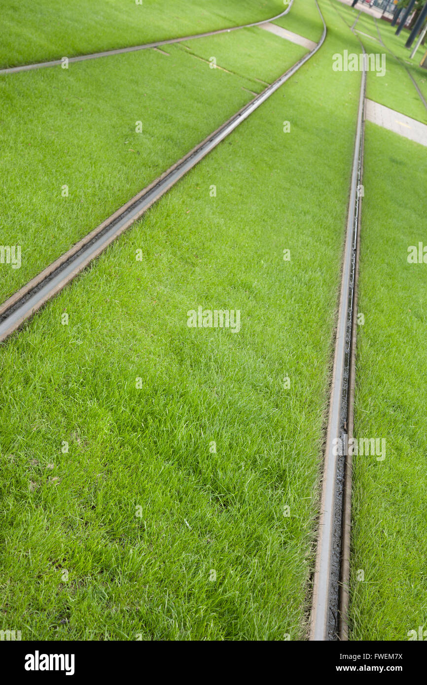 Tram Track in Rotterdam, Holland, Netherlands with Grass Background ...