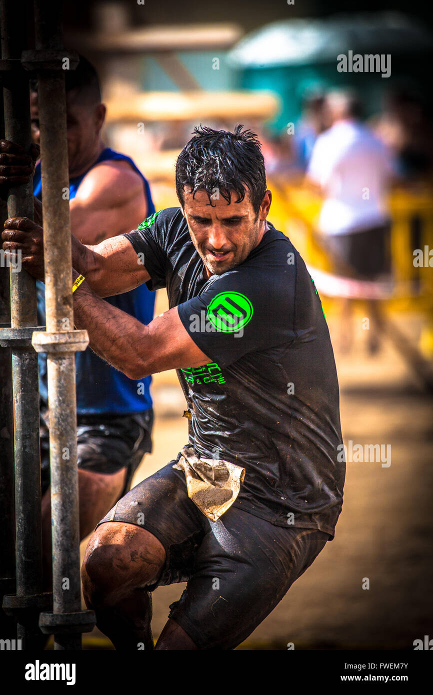 spartan race competition Stock Photo - Alamy