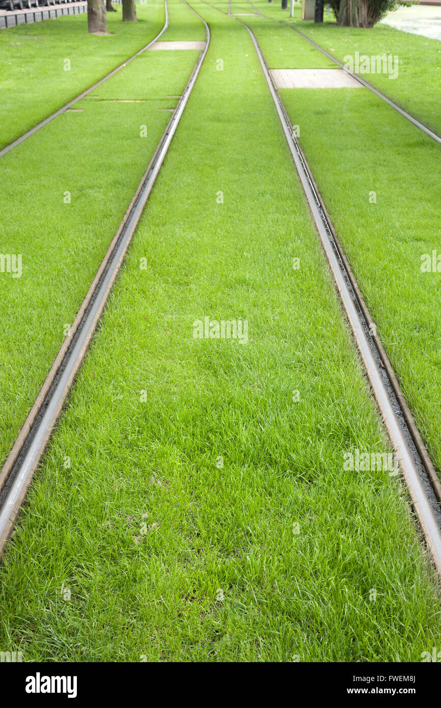 Tram Track in Rotterdam, Holland, Netherlands with Grass Background ...