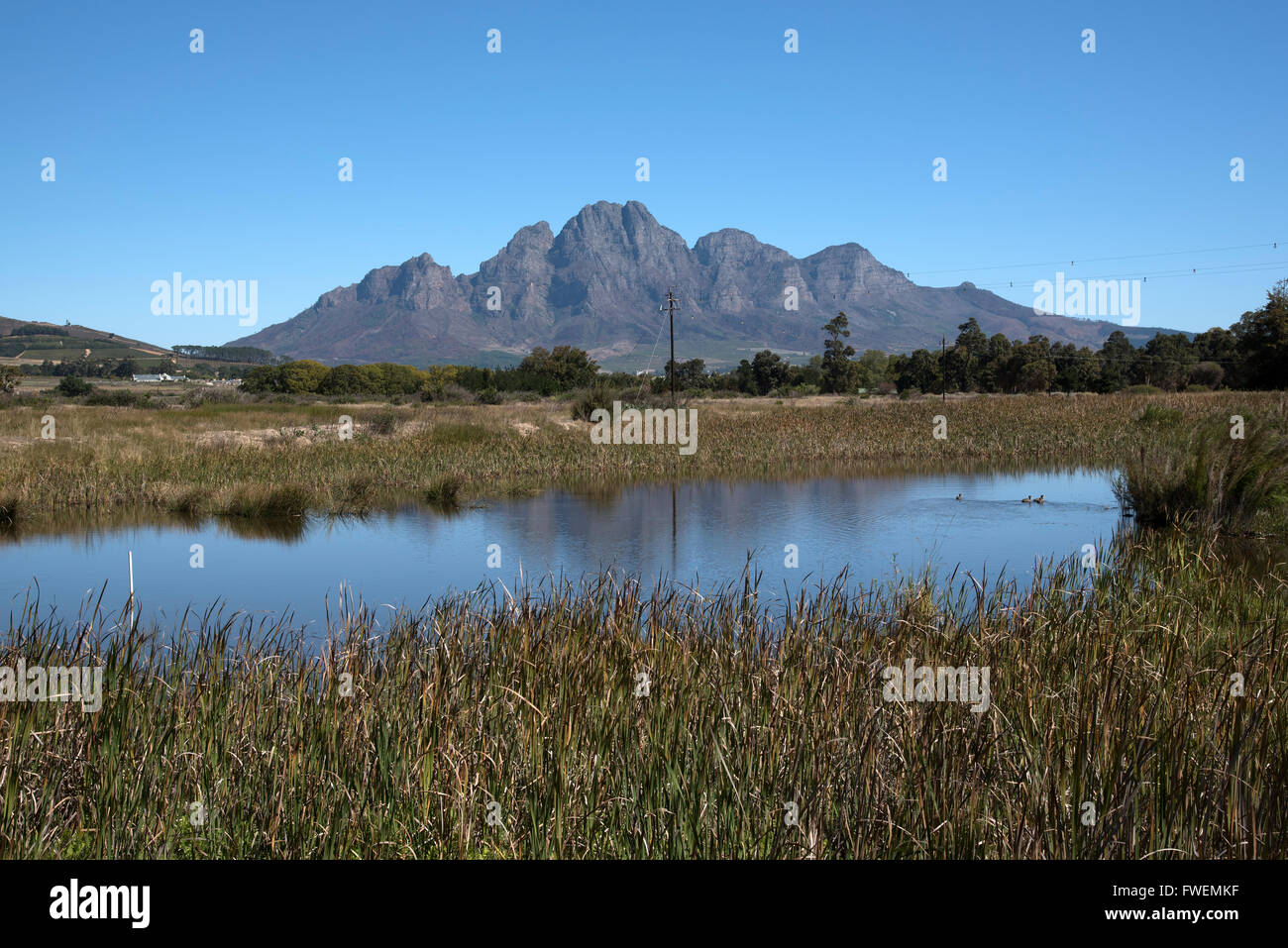 Simonsberg Mountain close to Stellenbosch in the Western Cape South ...