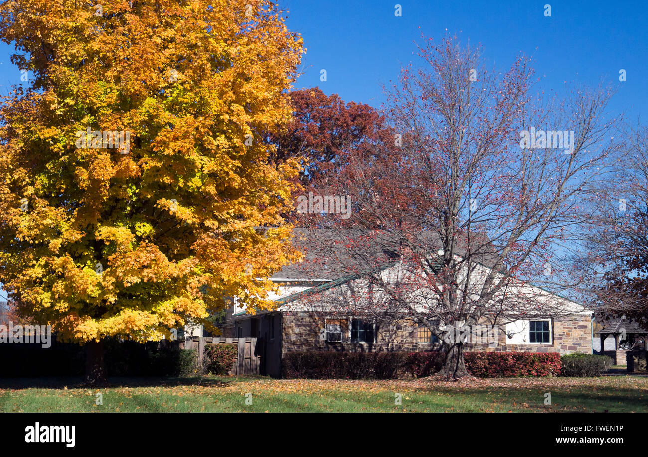 Colors colours hi-res stock photography and images - Alamy