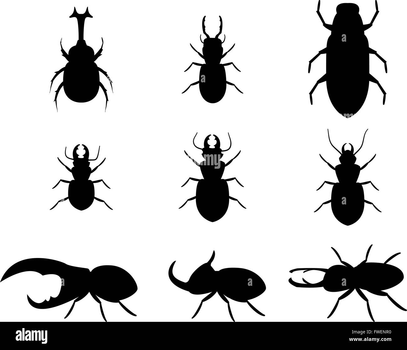 Beetle Vector Vectors High Resolution Stock Photography and Images - Alamy