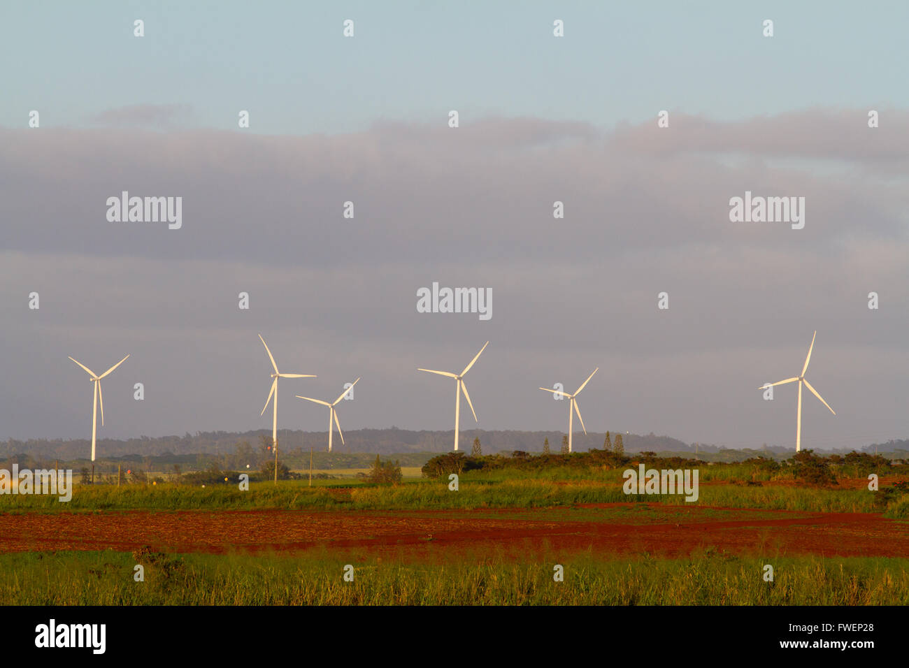 A wind farm on the tropical island of Oahu in Hawaii has multiple wind ...