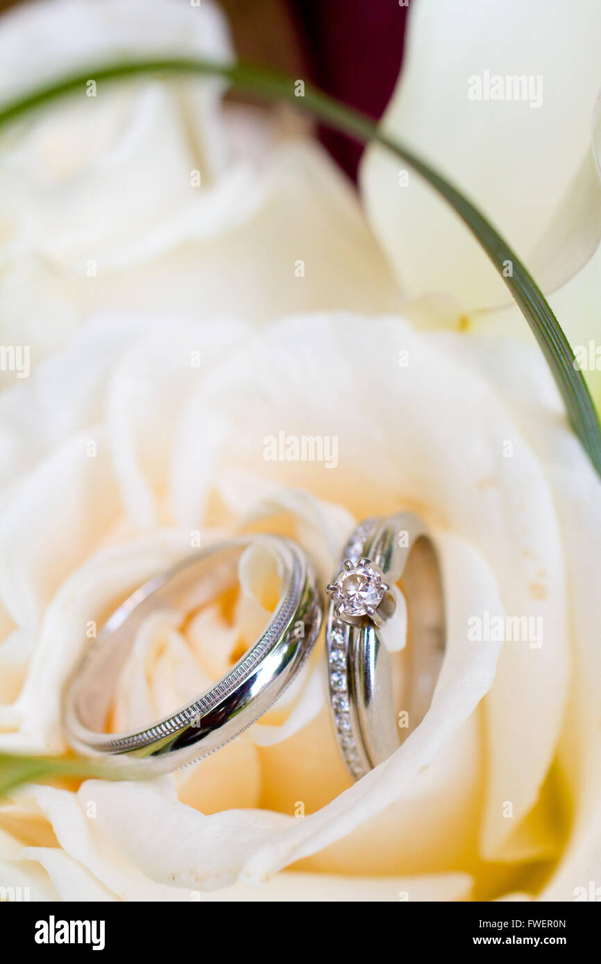 A bride and groom wedding rings photographed in an artistic wedding ...
