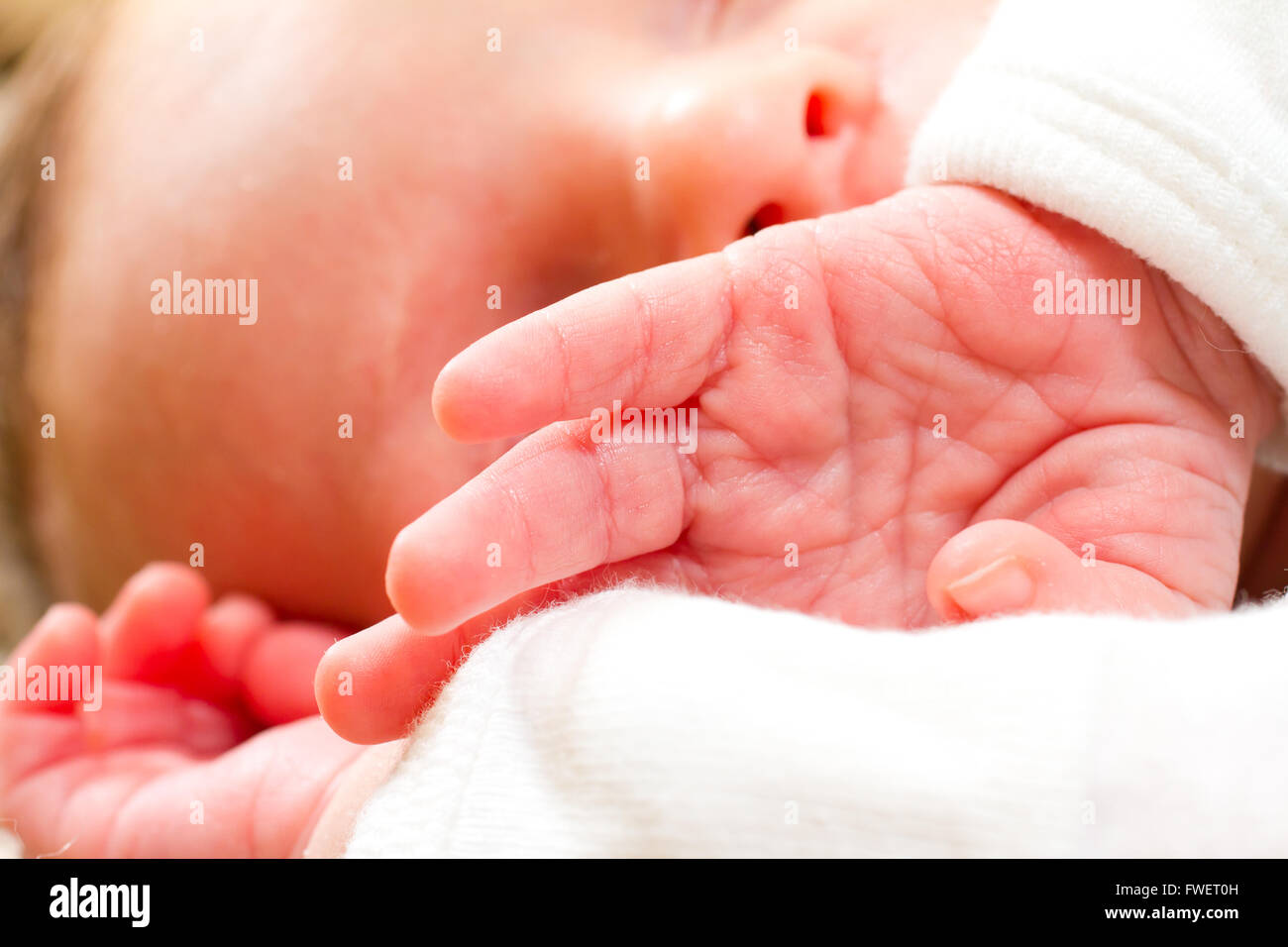 Baby boy hands next to his face in this newborn lifestyle portrait ...