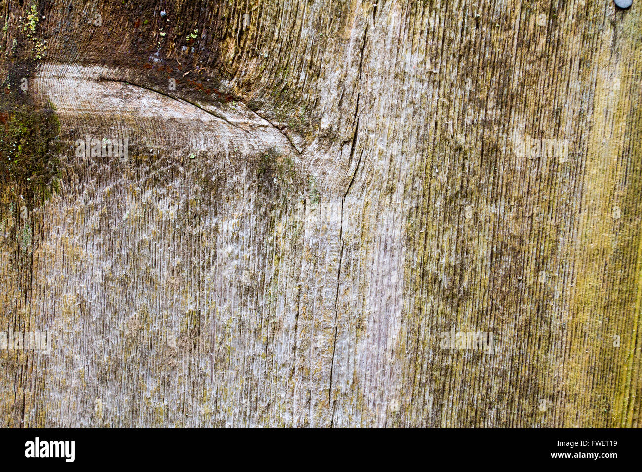 Various textures are photographed in an abstract way to create a ...