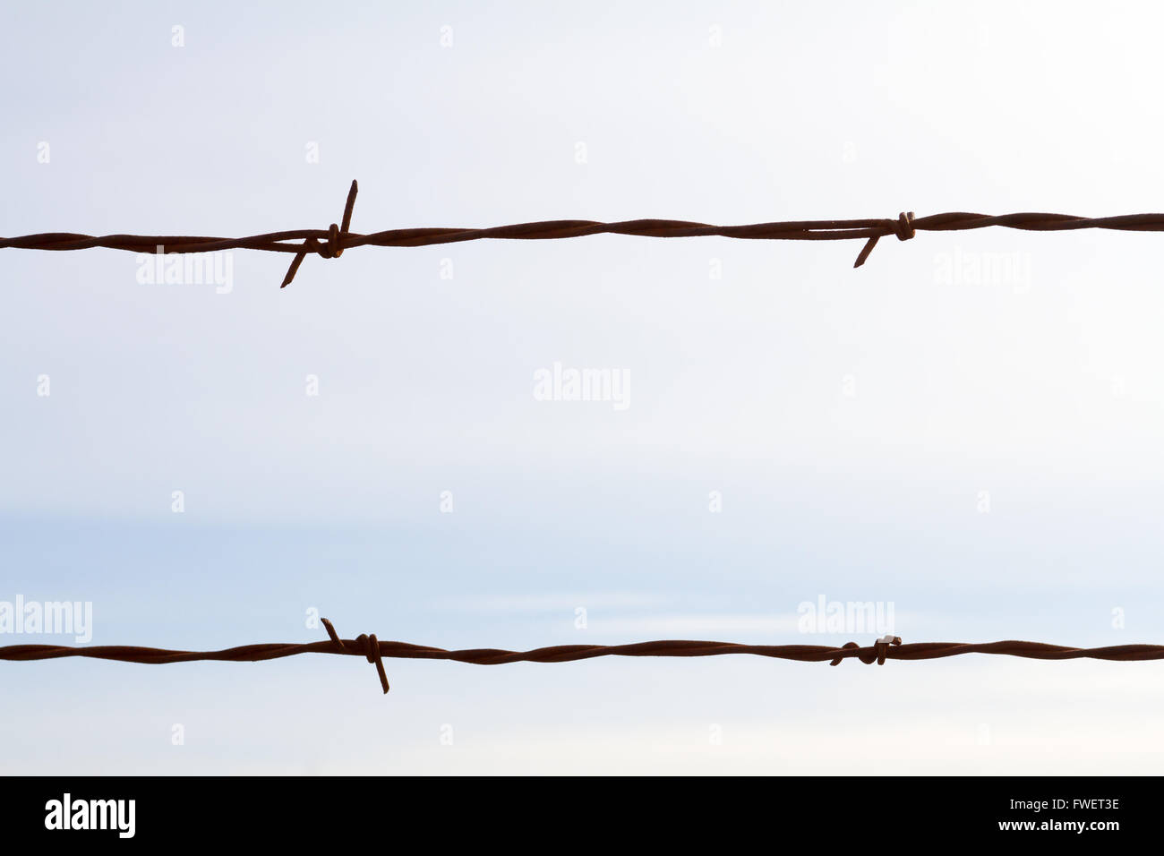 This color image shows nothing but a piece of barbed wire against a ...