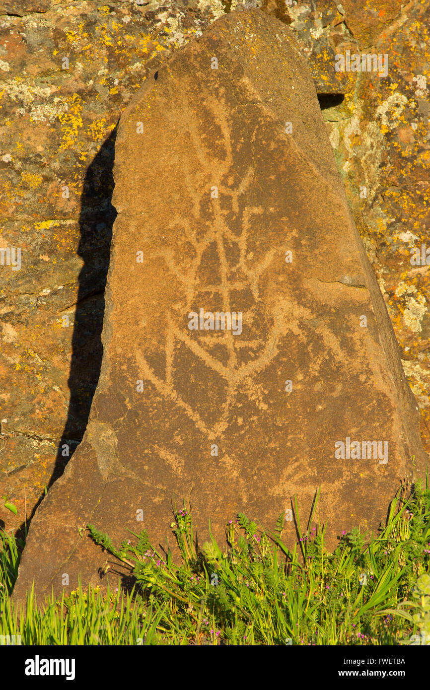 Petroglyph Trail rock art, Columbia Hills State Park, Columbia River ...