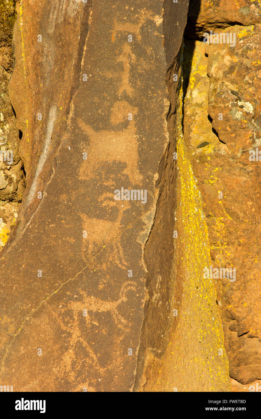 Petroglyph Trail rock art, Columbia Hills State Park, Columbia River ...
