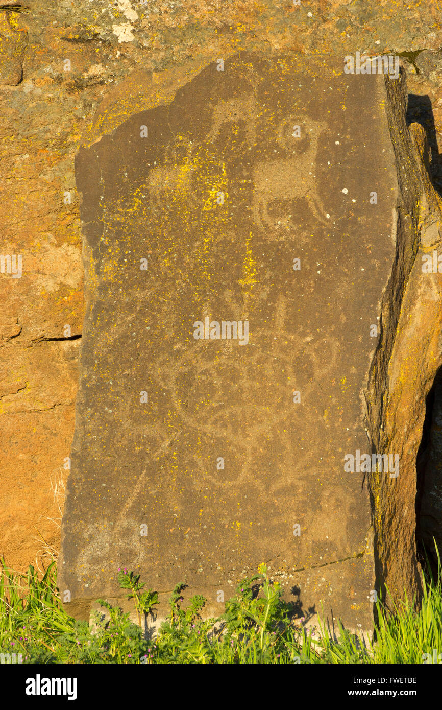 Petroglyph Trail rock art, Columbia Hills State Park, Columbia River ...