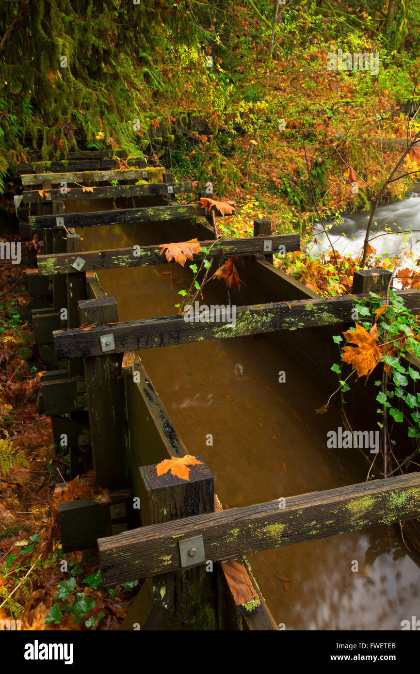 Flume, Cedar Creek Grist Mill, Lewis County, Washington Stock Photo - Alamy