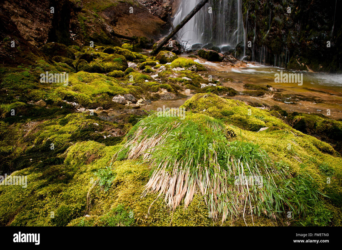 Waterfall with fresh green grass and mossy stones Stock Photo - Alamy