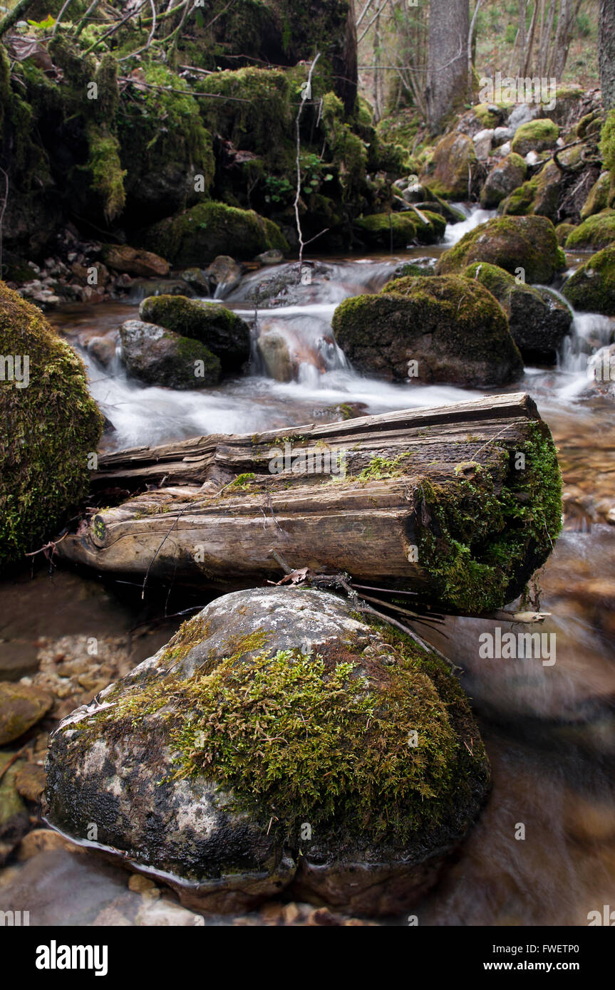 Creek with the mossy rocks in austrian Alps Stock Photo - Alamy