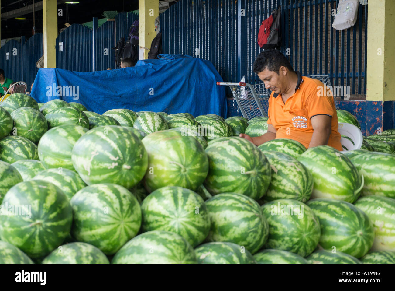 Watermelon seller, Manaus, Amazonas, Brazil, South America Stock Photo ...