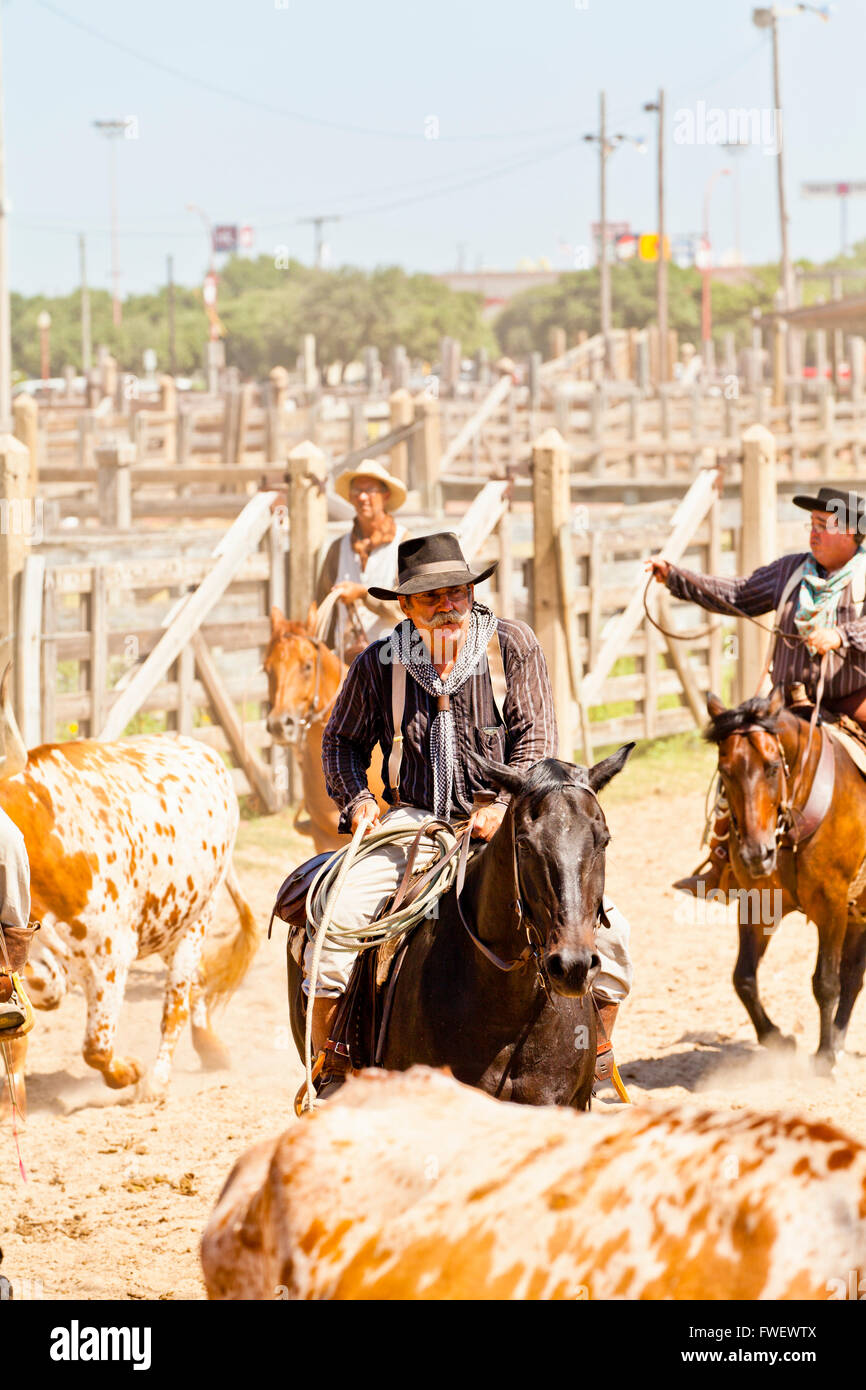 Fort worth stockyards hi-res stock photography and images - Alamy