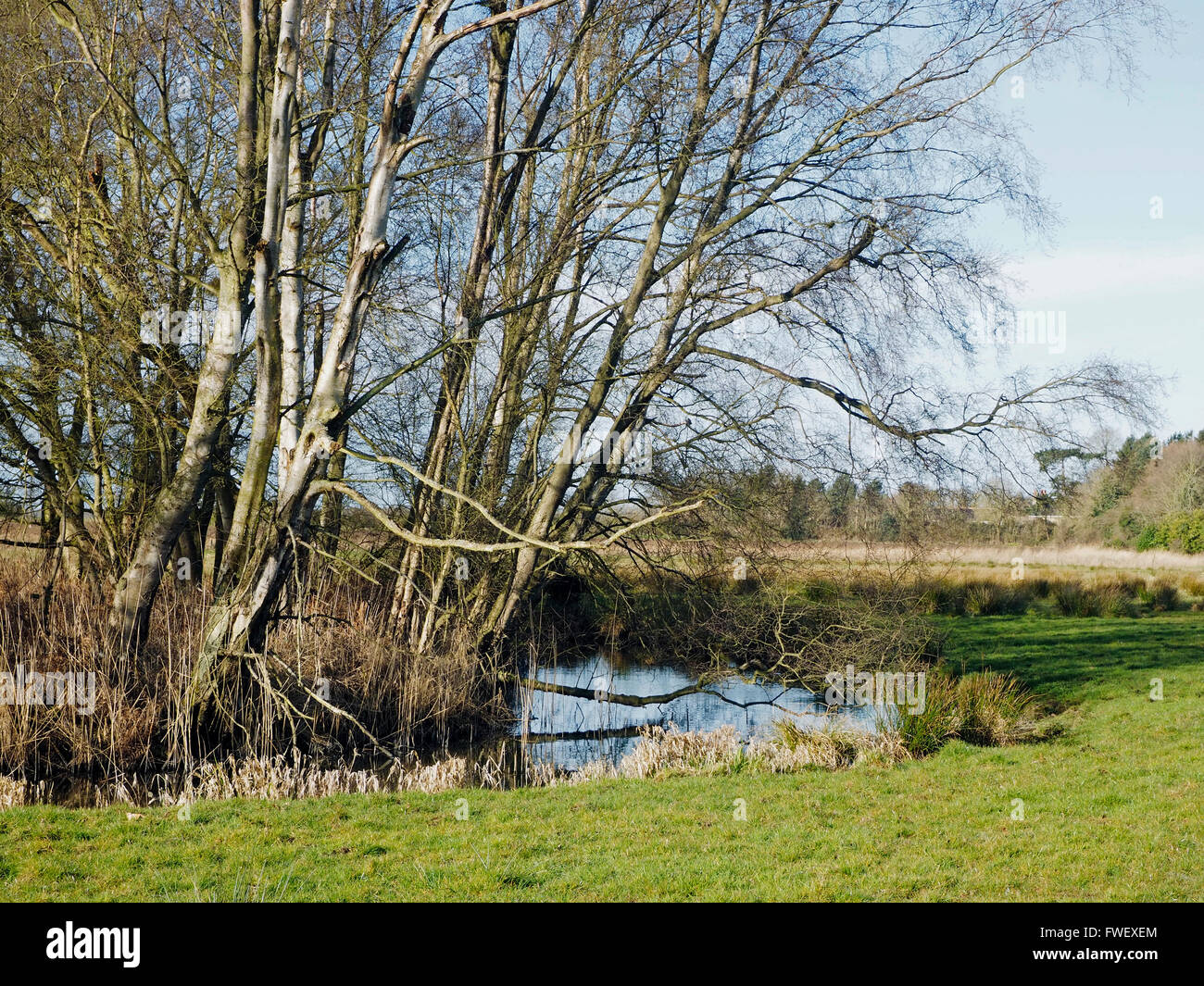 The North Walsham and Dilham Canal (River Ant) below Honing Lock ...