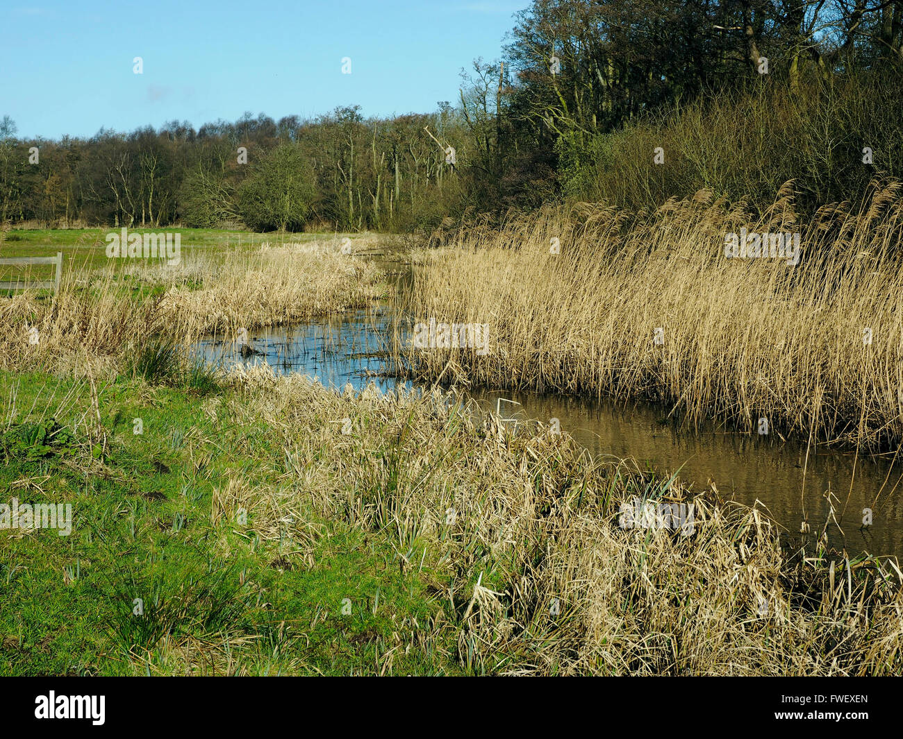 North walsham and dilham canal hi-res stock photography and images - Alamy