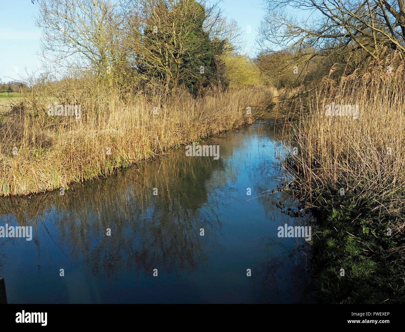The North Walsham and Dilham Canal (River Ant) above Honing Lock ...