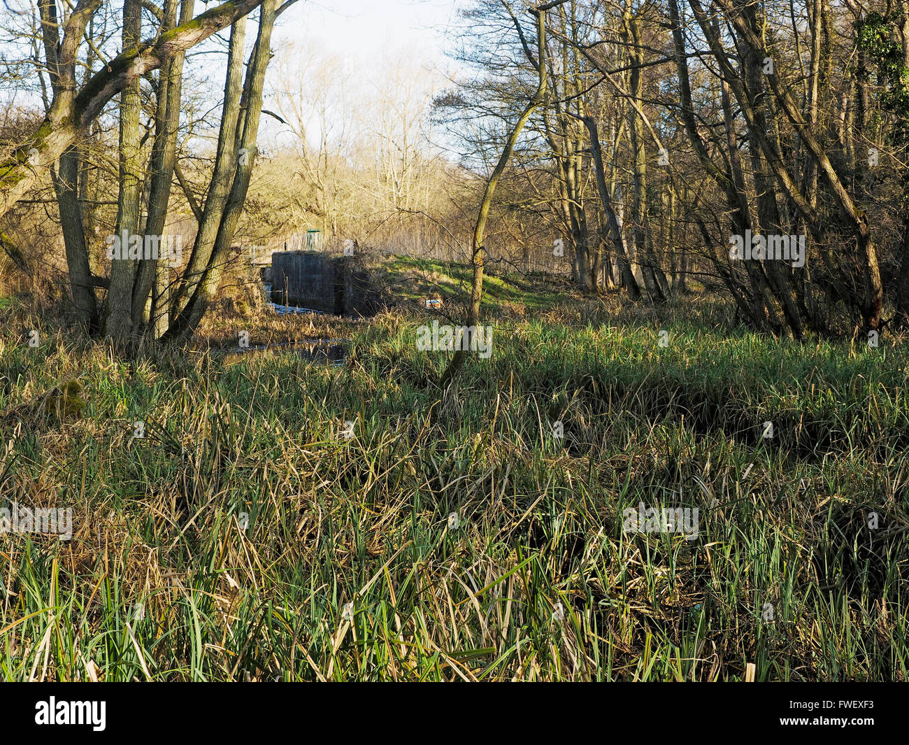 Honing norfolk hi-res stock photography and images - Alamy
