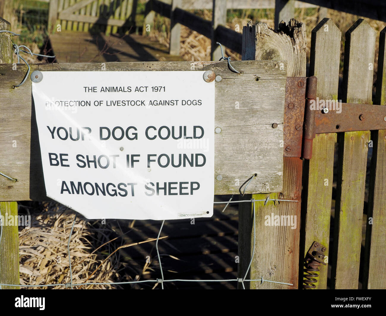 Grazing agriculture farming farm animals safety hi-res stock ...