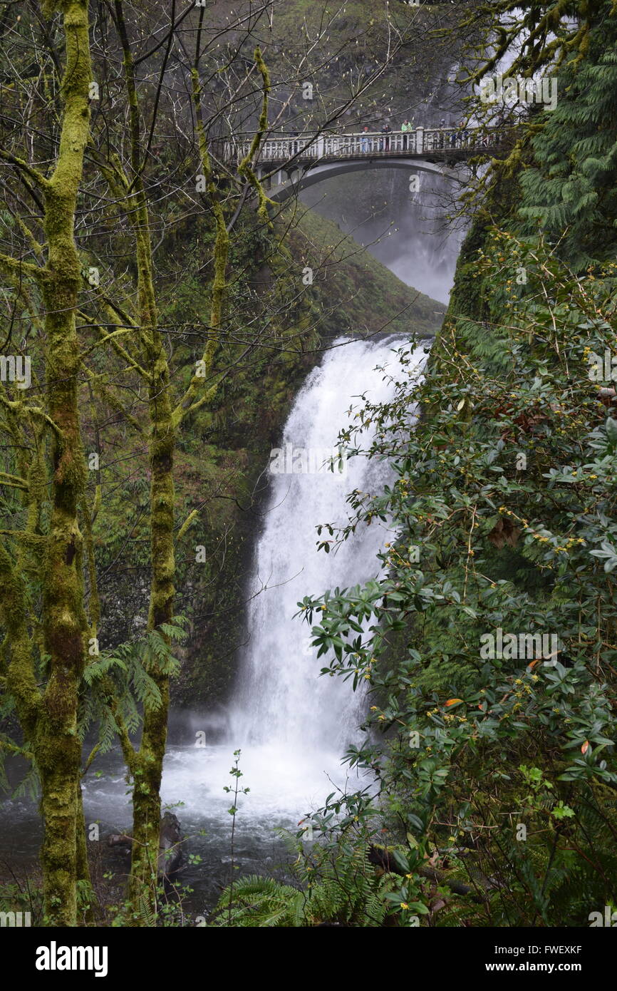 Columbia highway historic bridge hi-res stock photography and images ...