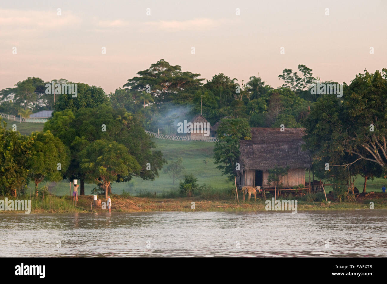 Amazon rainforest: Expedition by boat along the Amazon River near ...