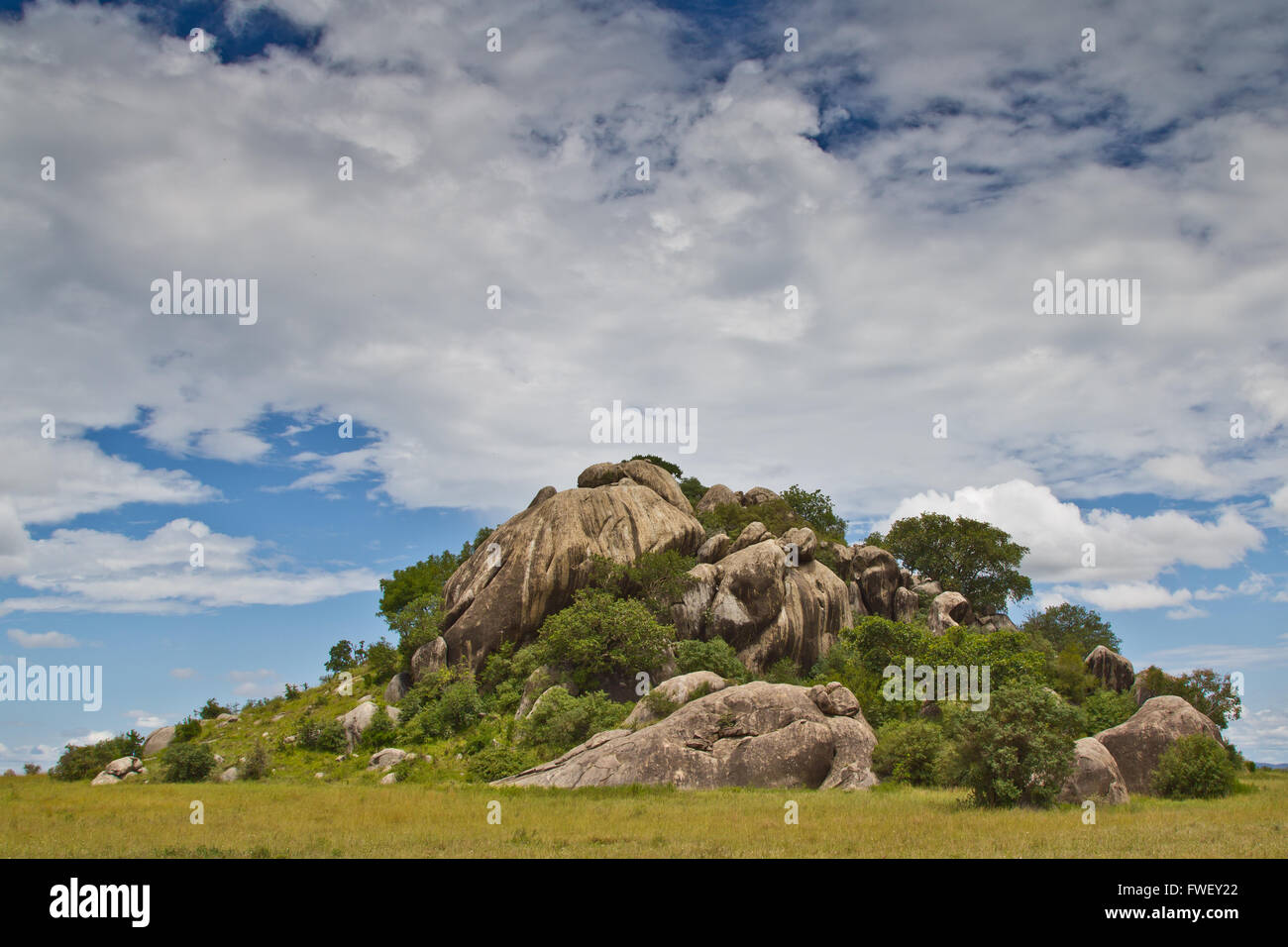 Kopje in the Serengeti Stock Photo - Alamy