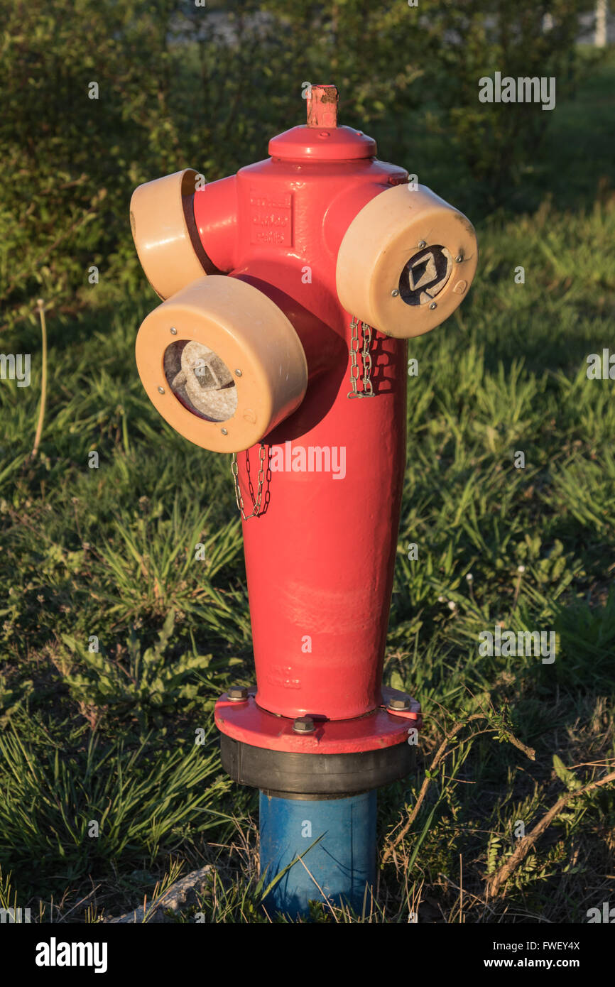 Fire hydrant in the sunlight Stock Photo - Alamy