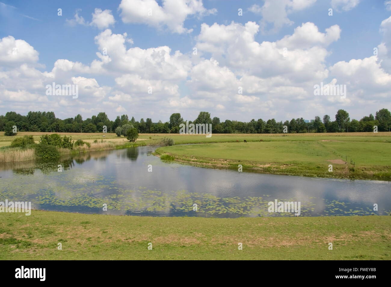 Moat water plants hi-res stock photography and images - Alamy