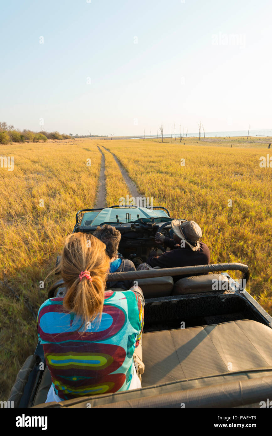 Beautiful golden hour colors behind hi-res stock photography and images ...