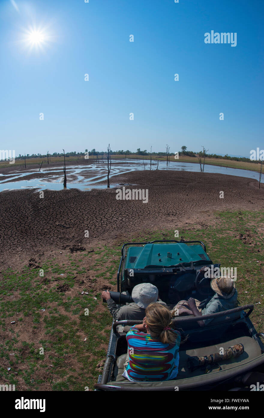 Beautiful golden hour colors behind hi-res stock photography and images ...