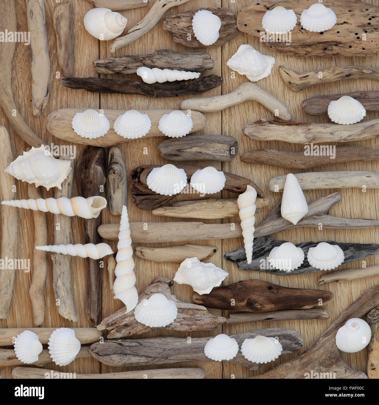 Sea shell and rustic driftwood abstract background over oak wood Stock ...