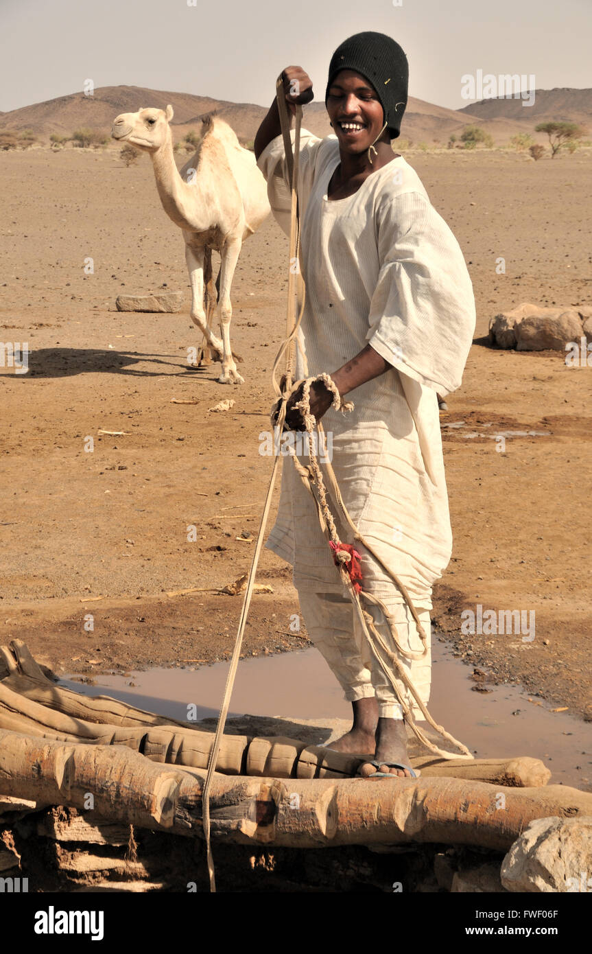 Bayuda desert bisharin nomad young hi-res stock photography and images ...