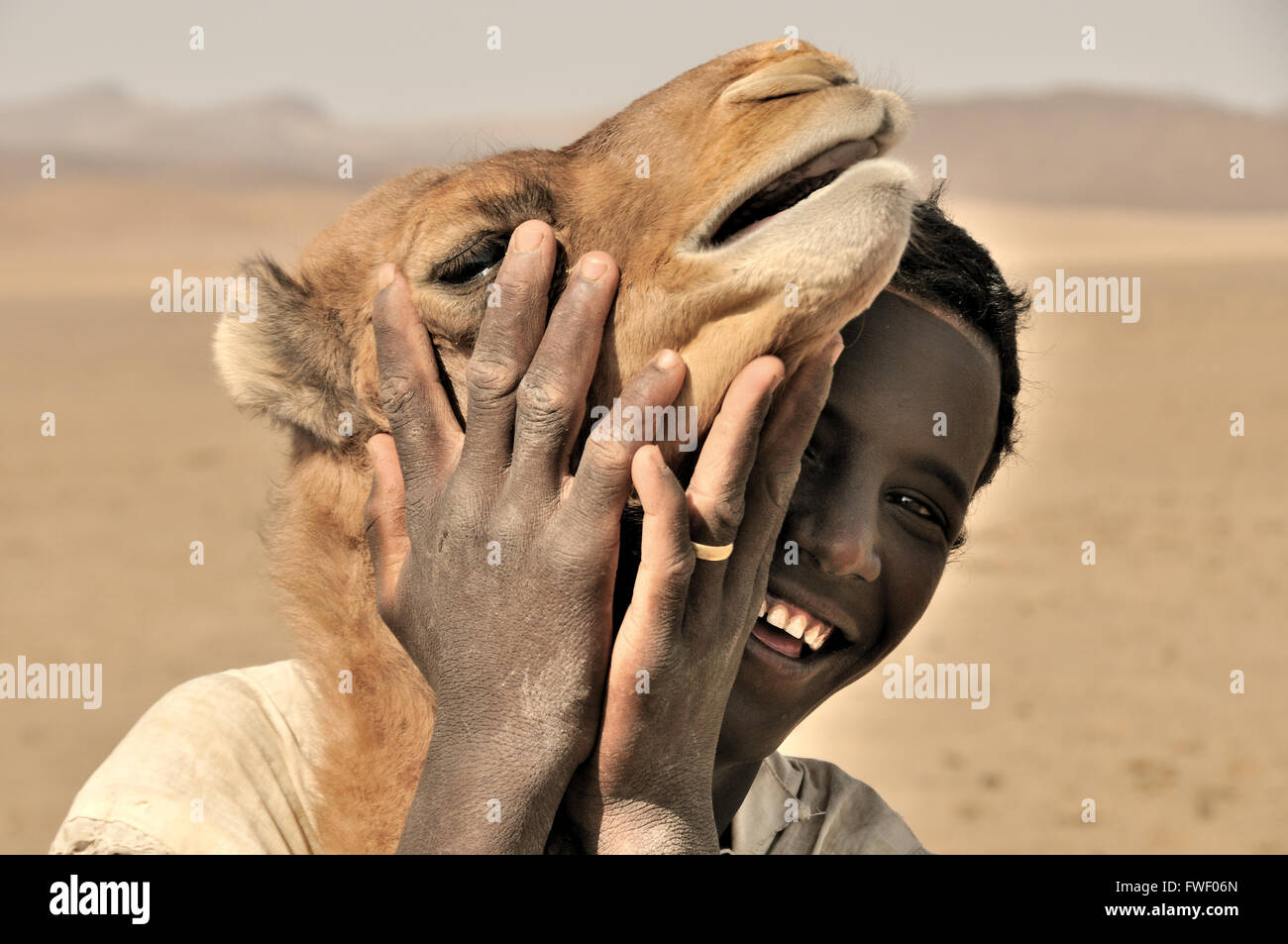 Bayuda desert, Bisharin nomad at well, boy with camel's head Stock ...