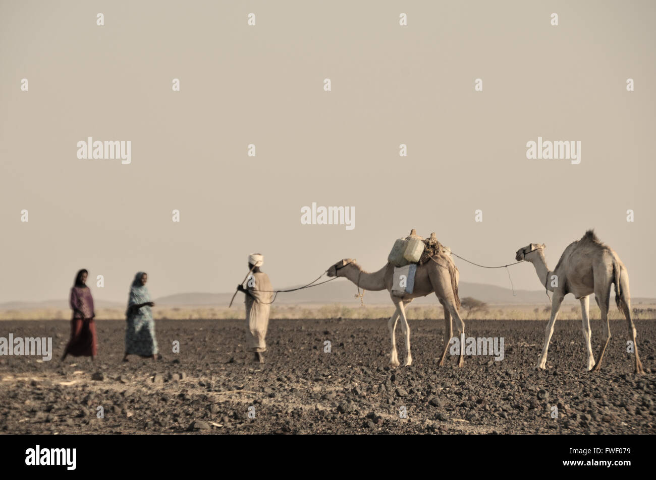 Bayuda desert, Bisharin caravan Stock Photo - Alamy